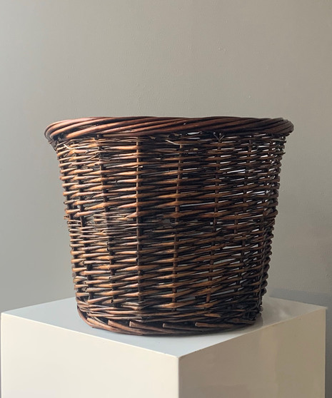 Dracaena Lind Cane in Ceramic | Baltimore (MD) Plant Delivery | Flowers ...