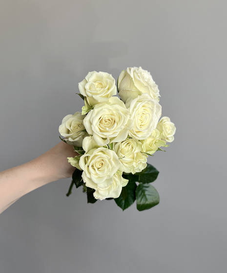 SPRAY ROSE White | Baltimore - Owings Mill (MD) Bulk & DIY Flowers ...